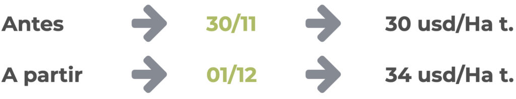 LANDING Conkesta – DonMario Semillas