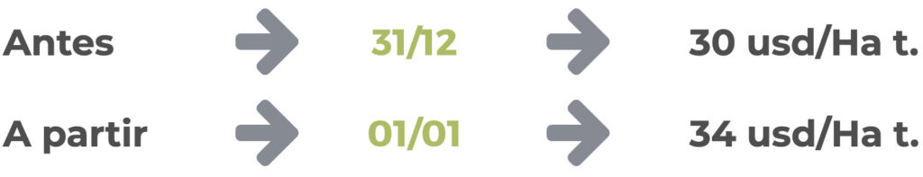 LANDING Conkesta – DonMario Semillas