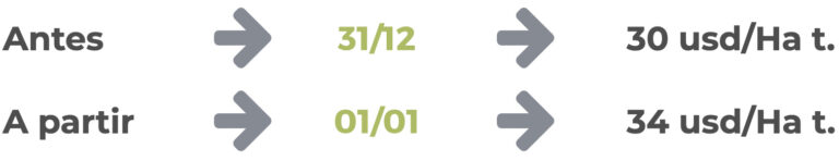 LANDING Conkesta – DonMario Semillas